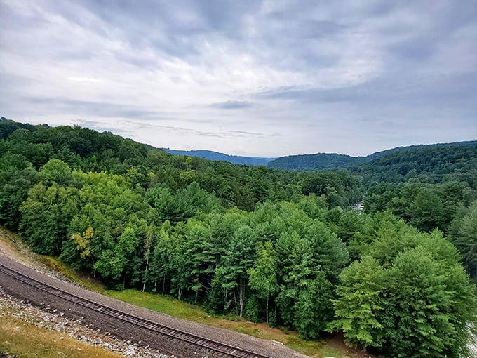 The surrounding hills offer views that cost absolutely nothing, yet somehow beat most expensive vacation destinations people mortgage their homes to visit.
