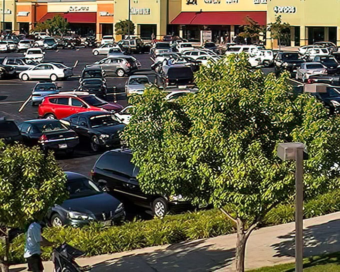 The sprawling parking area hints at the outlet's popularity—a field of vehicles harvesting deals instead of crops in America's Dairyland.