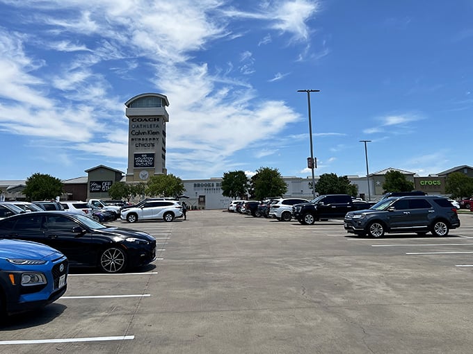 The parking lot stretches toward the horizon, a sea of asphalt where your car will inevitably be forgotten somewhere near the Coach tower.