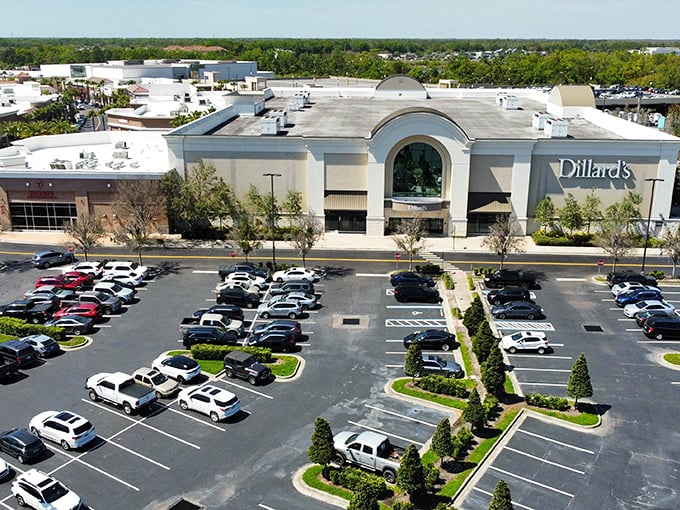 Dillard's elegant façade anchors the shopping center with architectural gravitas, its arched entrance promising retail adventures for the discerning shopper.