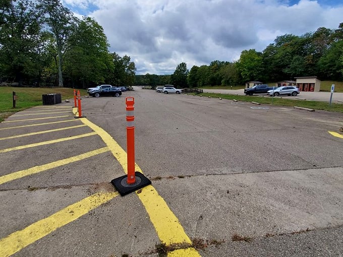 The humble parking lot – where everyday vehicles wait while their humans commune with some of Earth's oldest residents.
