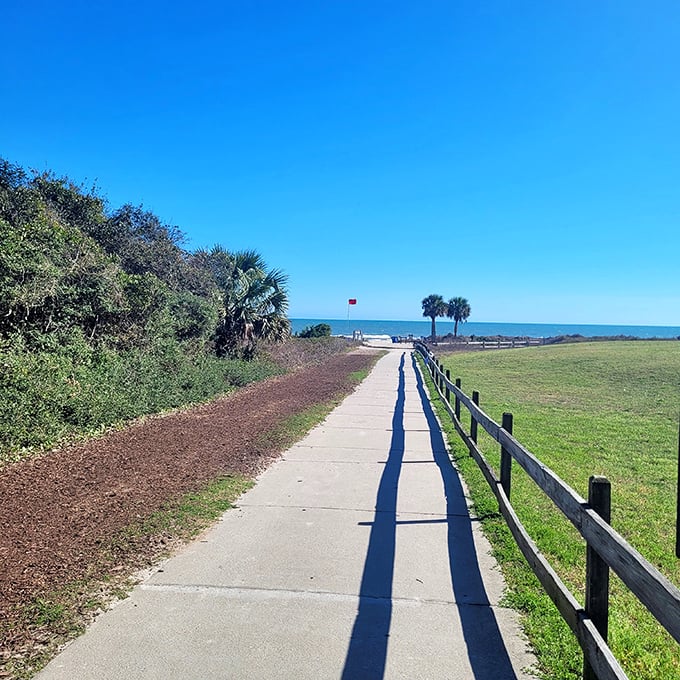 This pathway proves the journey really is the destination, especially when palm trees are your tour guides.