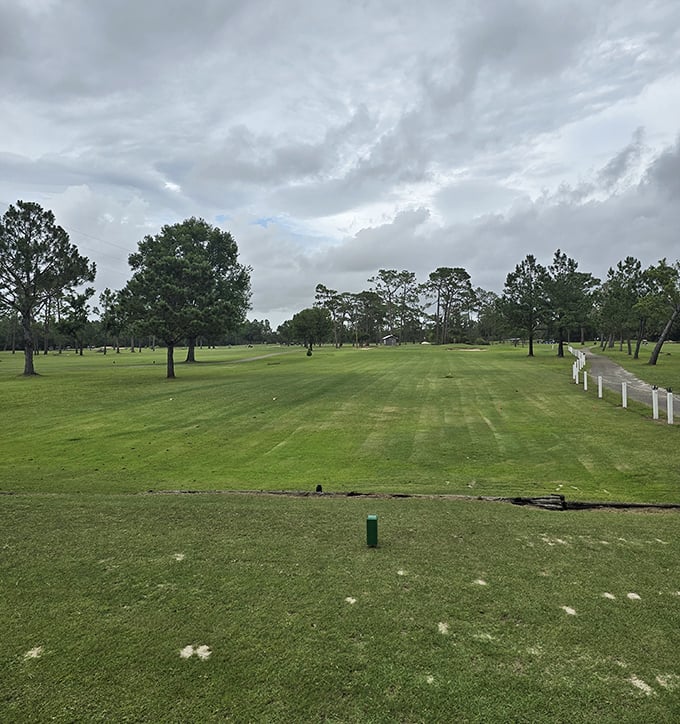 Perry Golf & Country Club proves you don't need to pay country club prices to enjoy a relaxing round where pine trees outnumber people.