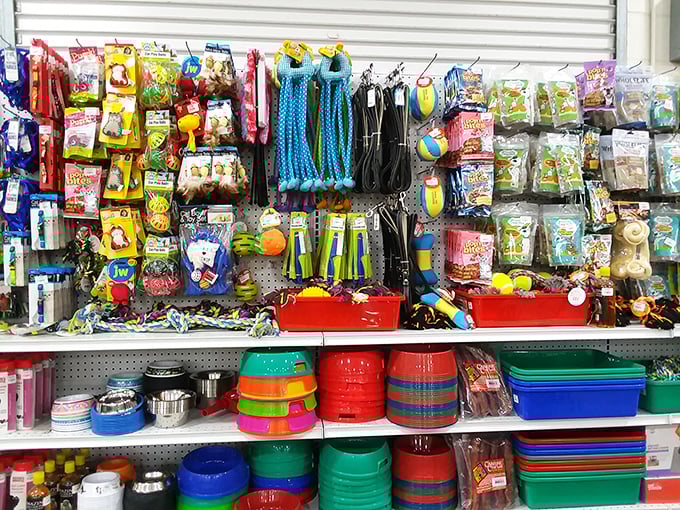 Pet supplies galore, because Fido deserves secondhand savings too. Those colorful toys and bowls await their forever homes.