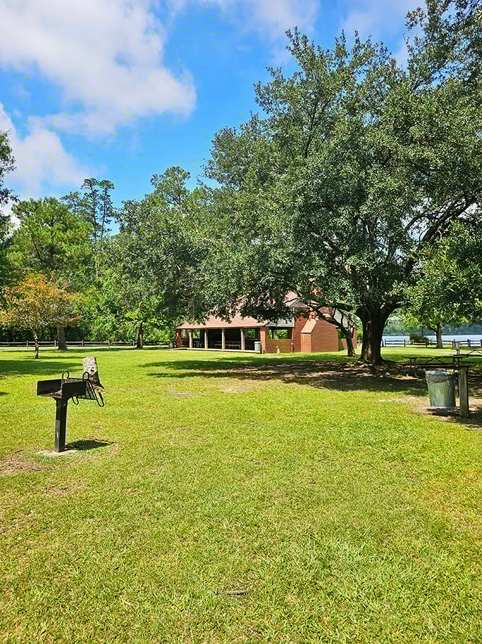 This isn't just a picnic area—it's an outdoor dining room with the best ambiance money can't buy. Nature provides both the view and the entertainment.