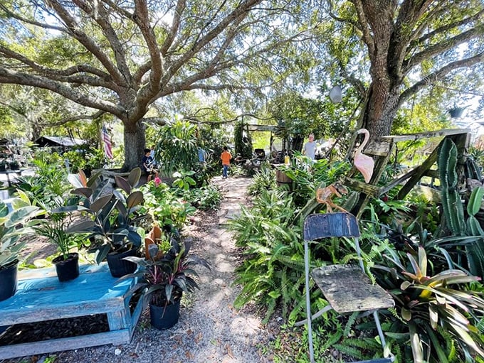 A leafy oasis of potted plants and garden treasures – where your brown thumb might finally turn green with the right botanical adoption.
