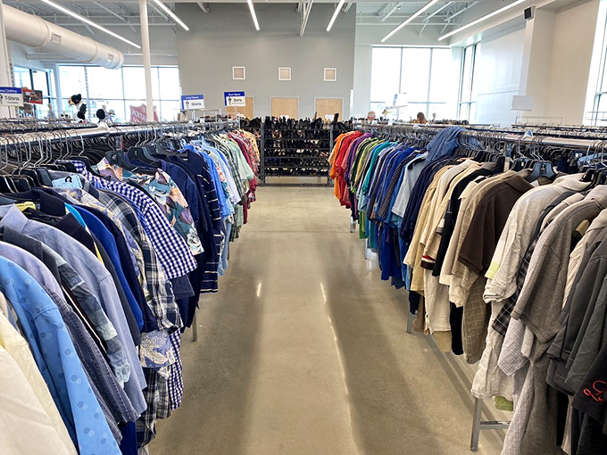 Shelves of possibility where one person's decluttering becomes another's discovery – the beautiful cycle of thrift in action.