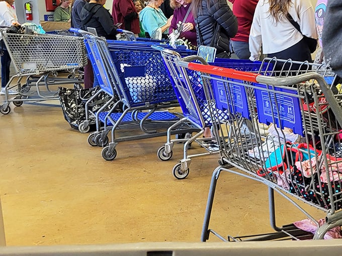 The humble shopping cart—your trusty sidekick on this treasure hunt. Veterans know to grab one immediately upon arrival or risk carrying armloads of finds.