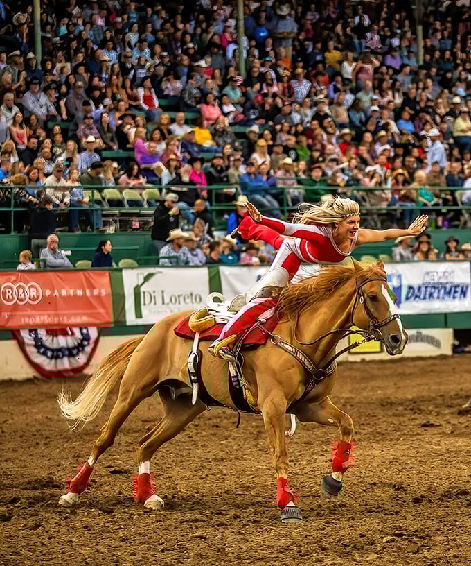 During rodeo week, skilled riders demonstrate gravity-defying horsemanship that would make even city slickers stand and cheer.
