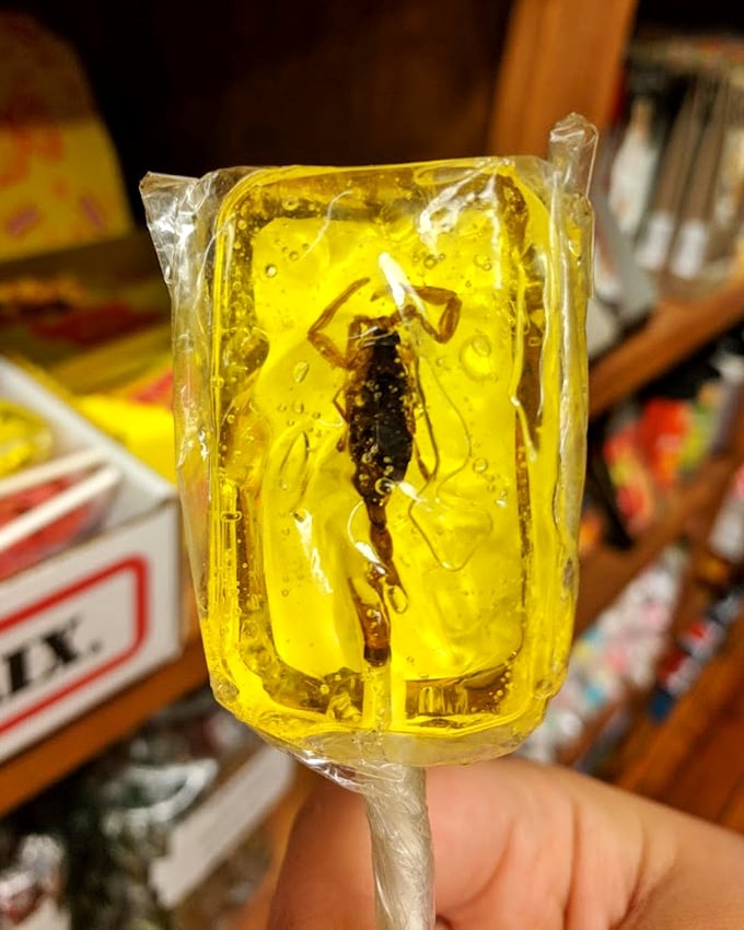 A scorpion sucker—proof that Amish Country isn't afraid to get weird. This amber-trapped creature is part candy, part conversation starter.