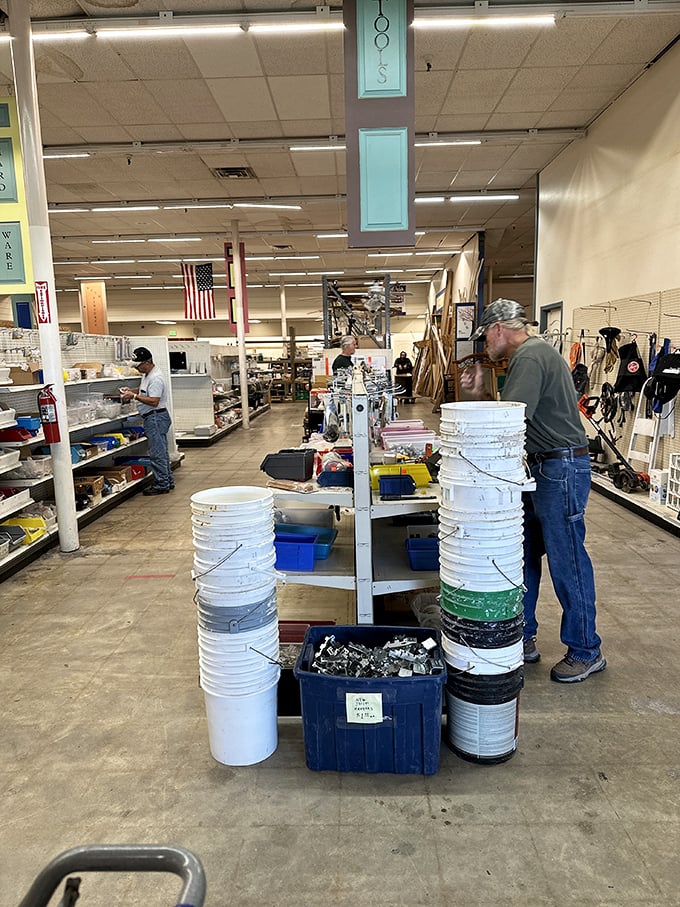 Savvy shoppers know the best finds require patience and persistence—these treasure hunters are playing the long game in the ReStore aisles.