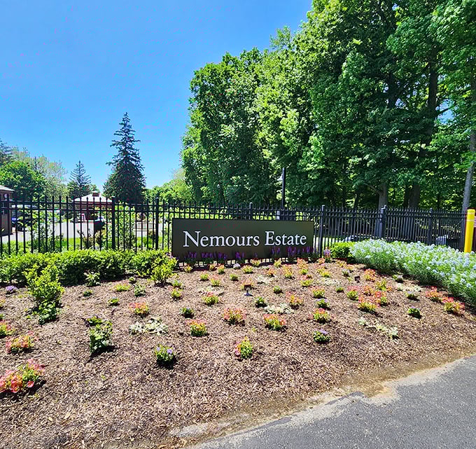 The entrance sign: understated elegance announcing "Yes, you're in the right place, and yes, it's going to exceed expectations."