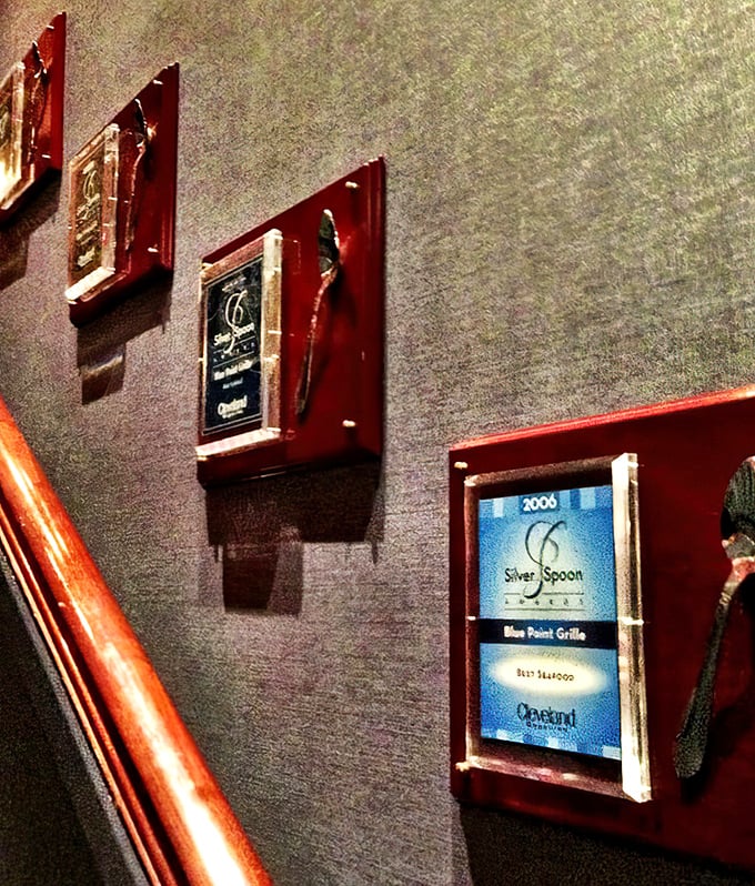 Awards that aren't just wall decoration—they're the restaurant equivalent of Olympic medals. Silver Spoon recognition means they're playing in the culinary big leagues.