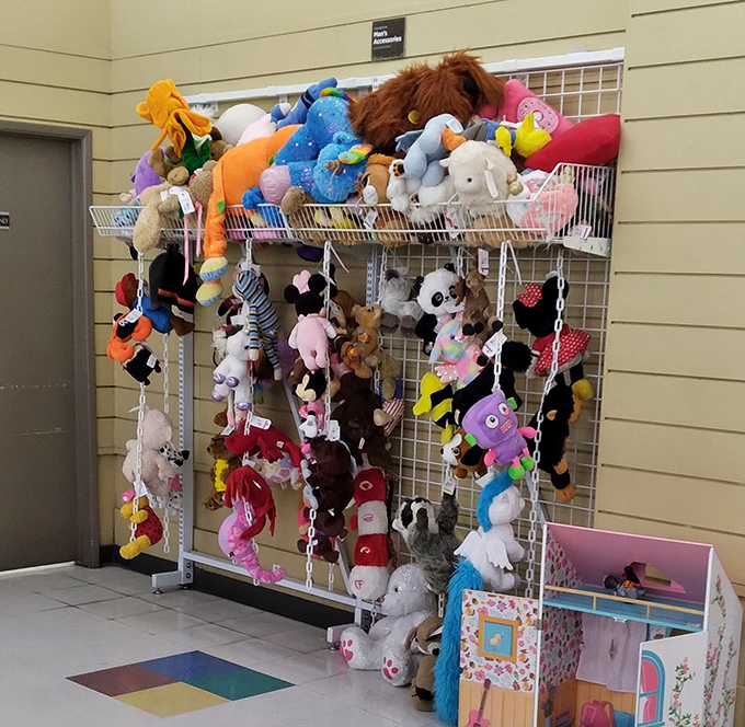 The stuffed animal section – where childhood companions hang hopefully, waiting for their next adventure with a new best friend.