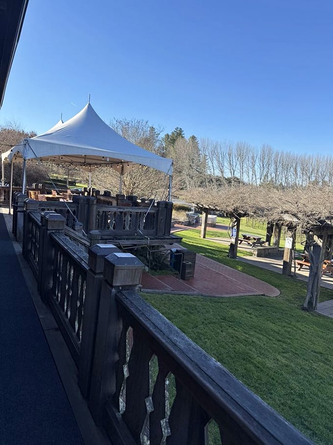 A covered patio with vineyard views offers front-row seats to nature's slow, delicious show – no tickets required.