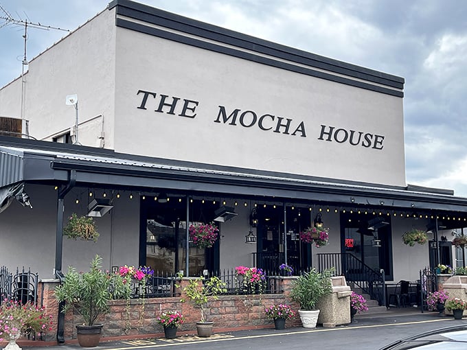 The Mocha House brightens Warren's streetscape with colorful flowers and affordable coffee—proof that simple pleasures needn't break the bank.