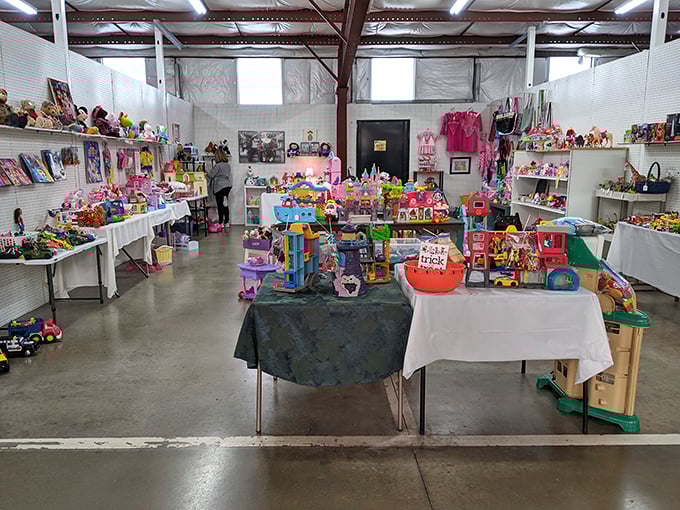 Toy paradise where plastic dreams from different decades mingle together, creating an impromptu museum of childhood that spans generations.