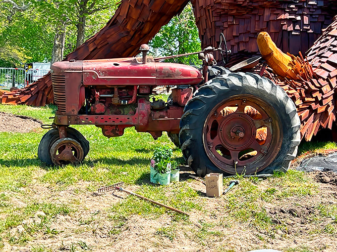 The vintage Farmall tractor isn't just for show—it represents Mercer County's strong agricultural heritage. Nelson clearly appreciates good farm equipment.