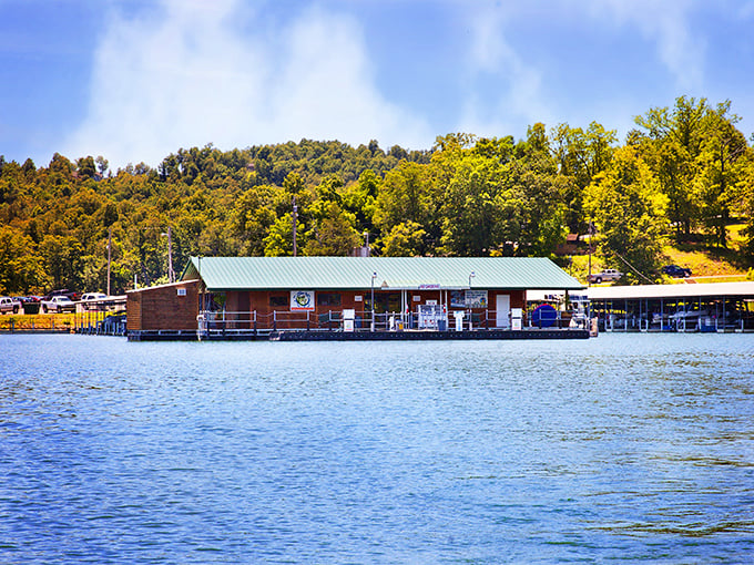 Tracy Ferry Marina floats serenely on lake waters, a gateway to fishing adventures and sunset cruises in the Ozark paradise.