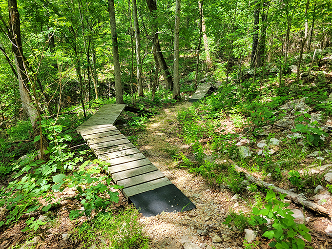 These wooden pathways through the forest aren't just trails—they're portals to discover your inner woodland sprite.