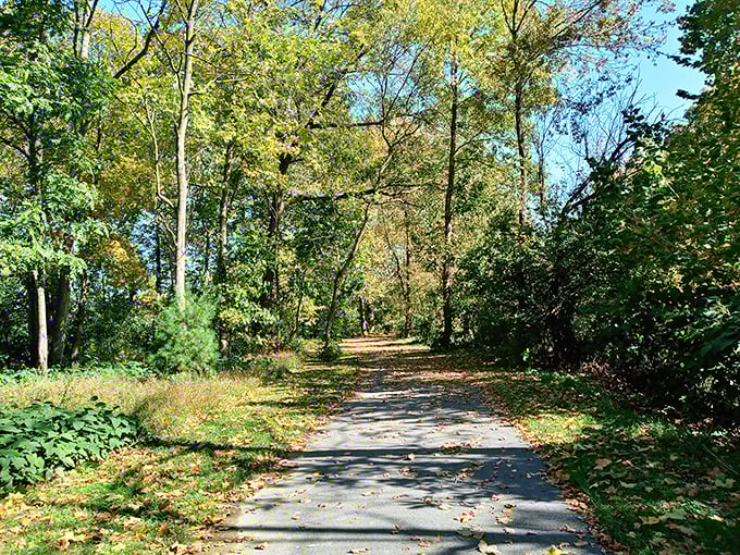 Trails wind through the park's 165 acres, inviting visitors to wander aimlessly—the best kind of wandering there is.
