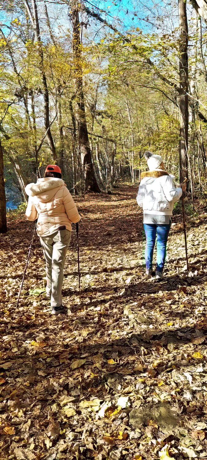 Hikers follow autumn trails carpeted with golden leaves. The crunch underfoot is nature's way of applauding your adventure.