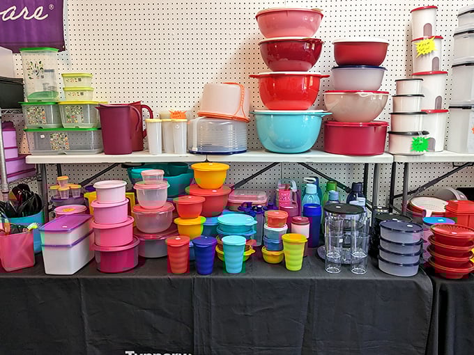 Tupperware in technicolor—because leftovers deserve their dignity too.