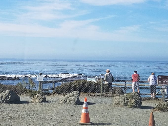 Ocean watchers gather at the viewpoint, their postures revealing the universal human response to the sea—quiet contemplation and awe.