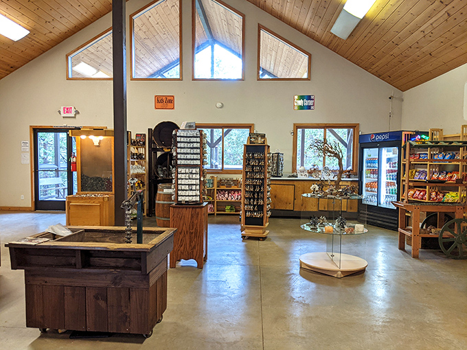 Gift shop geology! Browse for crystals and souvenirs while surrounded by pine-scented mountain air and natural light from those gorgeous windows.