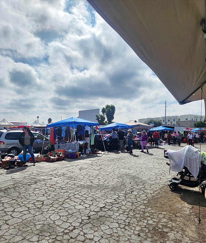 Under the watchful eye of San Diego's famous clouds, shoppers navigate a marketplace where haggling isn't just allowed—it's expected.