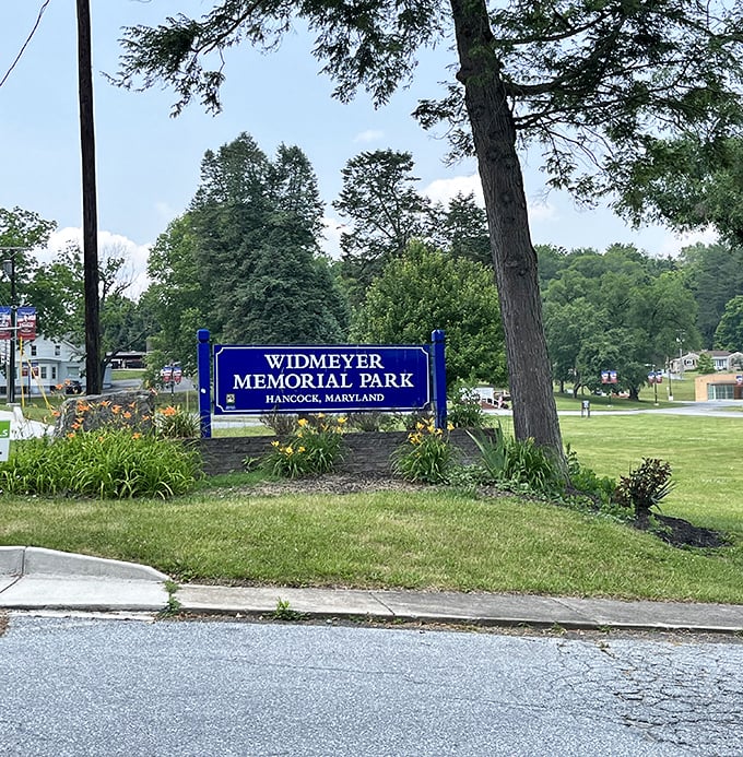 Widmeyer Memorial Park provides a green heart for community gatherings, where summer concerts and picnics create memories that are priceless yet free.