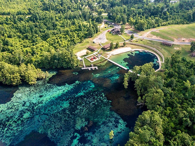 Nature's artwork viewed from above – the spring's brilliant blue center creates a stunning contrast against the surrounding greenery.