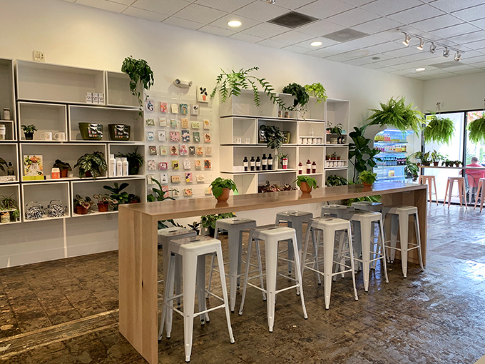 Plants cascade from shelves while greeting cards and artisanal products line the walls. It's part cafe, part garden, part gift shop—all inviting.