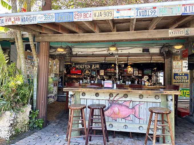 License plates above, cold drinks below. This outdoor bar isn't trying to be Instagram-famous—it achieved character the old-fashioned way: authenticity.