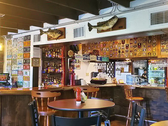 The bar area showcases Florida's obsession with license plates and fishing trophies. Every surface tells a story—some taller than others.