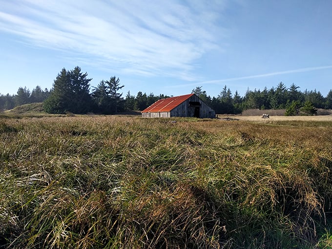 This weathered barn stands as a quiet reminder of the area's agricultural past. History doesn't always need a plaque to tell its story.
