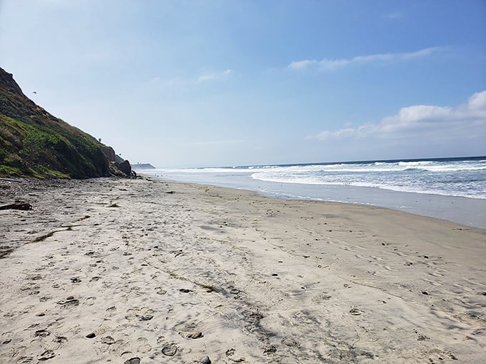 Stretches of untouched sand invite barefoot wandering. This is the beach equivalent of finding an empty highway on a holiday weekend.