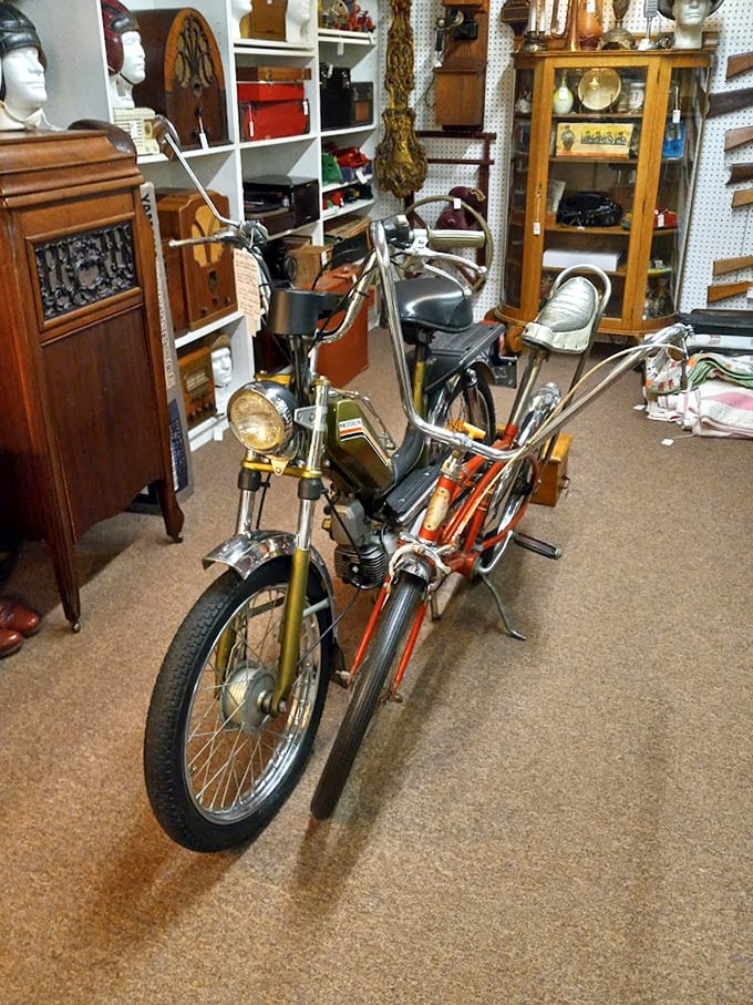 That vintage moped isn't just transportation—it's a time machine with handlebars, ready to zoom you back to simpler days.