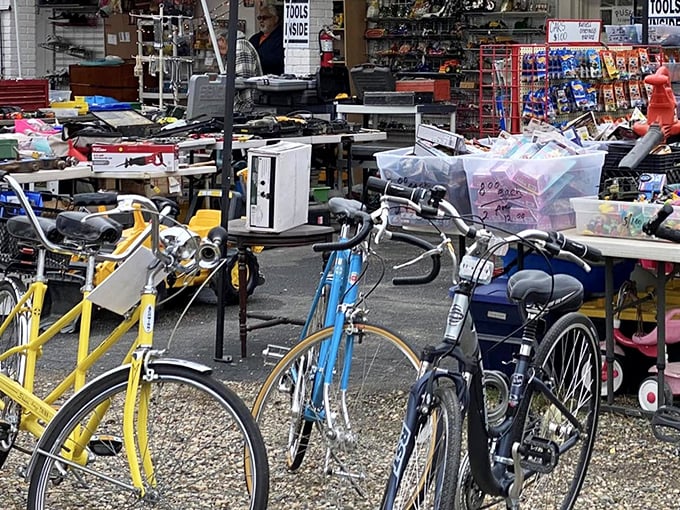 Bicycle brigade ready for new adventures. That sunshine-yellow cruiser isn't just transportation—it's a rolling invitation to summer memories.
