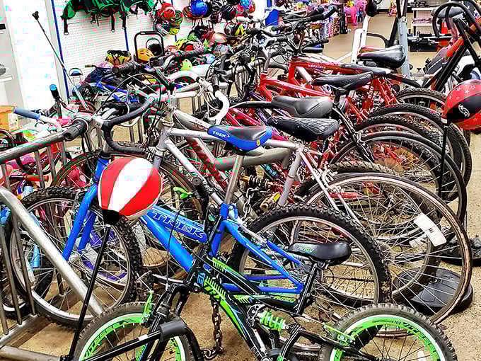 Bicycle bonanza! From kid's first rides to adult weekend warriors, these wheels are ready to roll again.