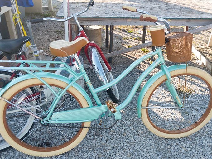 Vintage cruiser bikes that whisper promises of leisurely Sunday rides and picnic baskets filled with sandwiches and lemonade.