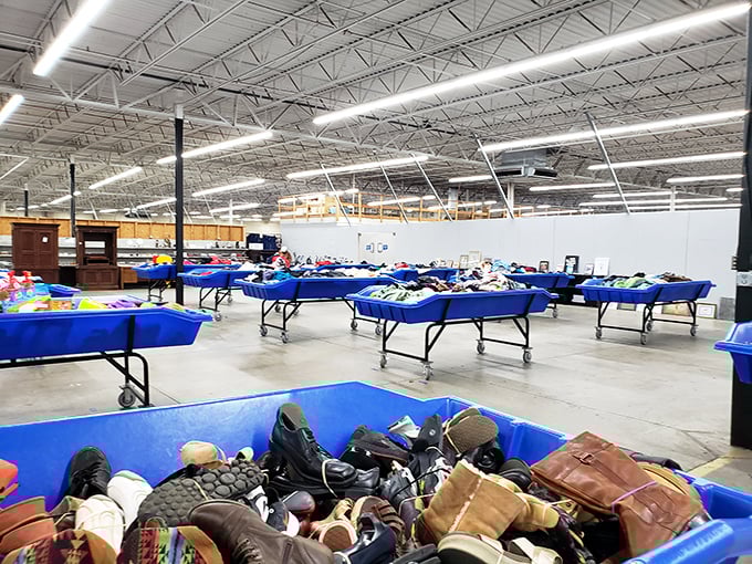 The famous blue bins—retail's version of archaeological digs where patience is rewarded and gloves are recommended.