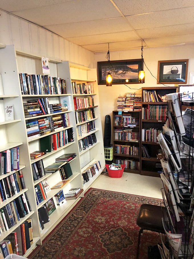 The book nook – a literary treasure trove where dog-eared paperbacks and forgotten bestsellers await their next adventure.