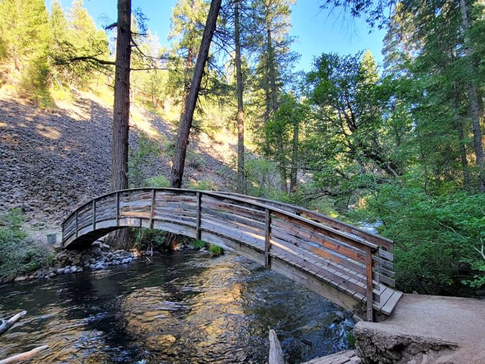 Not all who wander are lost, especially with this charming footbridge guiding hikers across the crystal-clear stream below.
