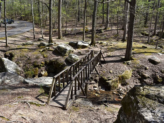 Not all bridges span water – some, like this rustic wooden walkway, connect us to parts of ourselves we forgot existed.