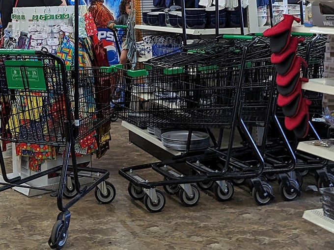 Shopping carts stand at attention, eager to be filled with treasures that prove luxury and affordability aren't mutually exclusive.
