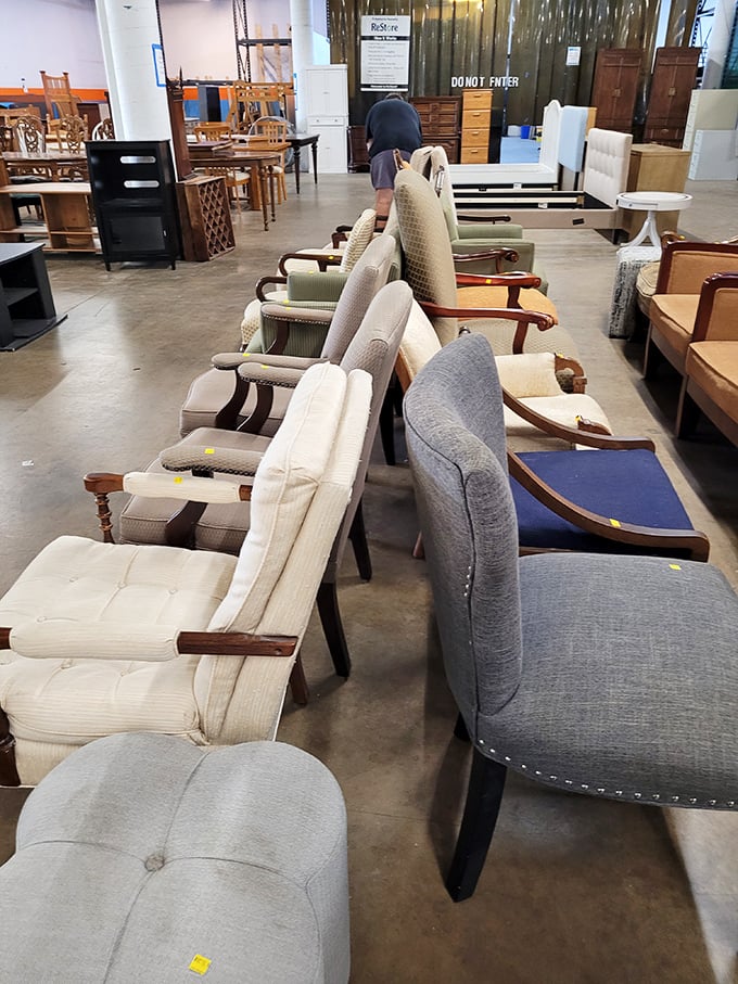 Chair lineup! Like a casting call for a furniture sitcom, each with its own personality and story to tell.