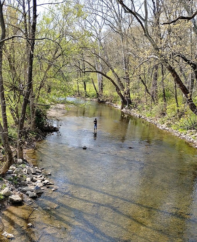 Crystal-clear creek water invites contemplation, or at least makes you wonder why your pool never looks this good.