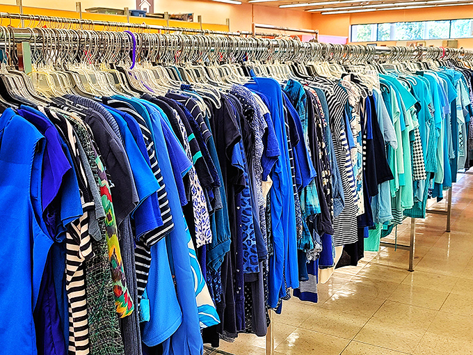The blue section: where every shade from navy to turquoise hangs in chromatic harmony, waiting for color-coordinated shoppers.