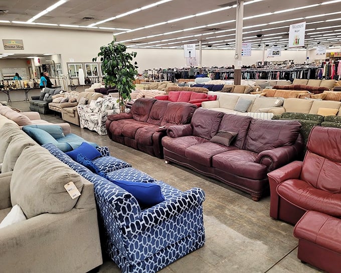 Couch kingdom where leather thrones meet floral-patterned commoners – all equally eager to cradle your posterior after a long day.